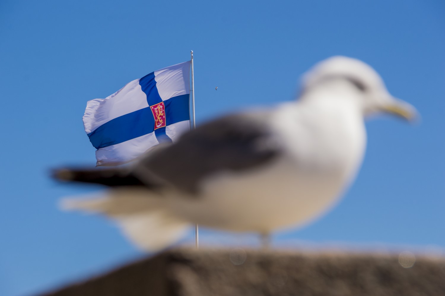 Nordijski road trip: 2. teden – Napotovanju.si
